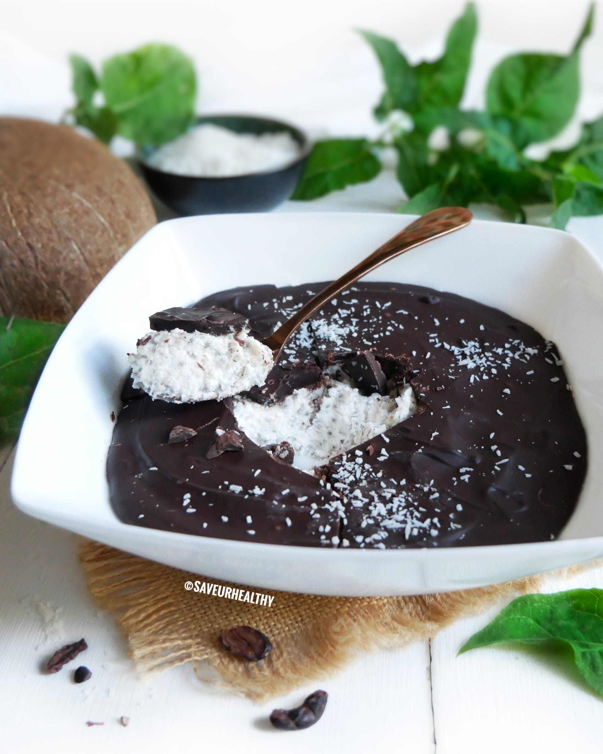 Pudding bounty aux graines de chia (sans gluten-IG BAS) – saveurhealthy